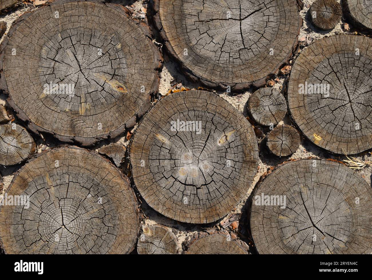Cross sections hi-res stock photography and images - Alamy