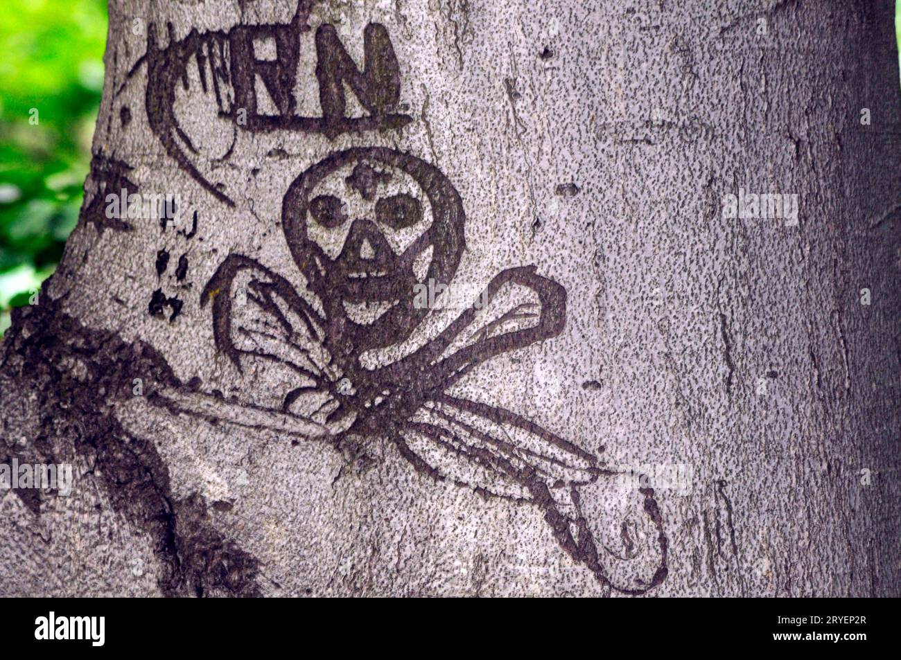 Death symbol hi-res stock photography and images - Alamy