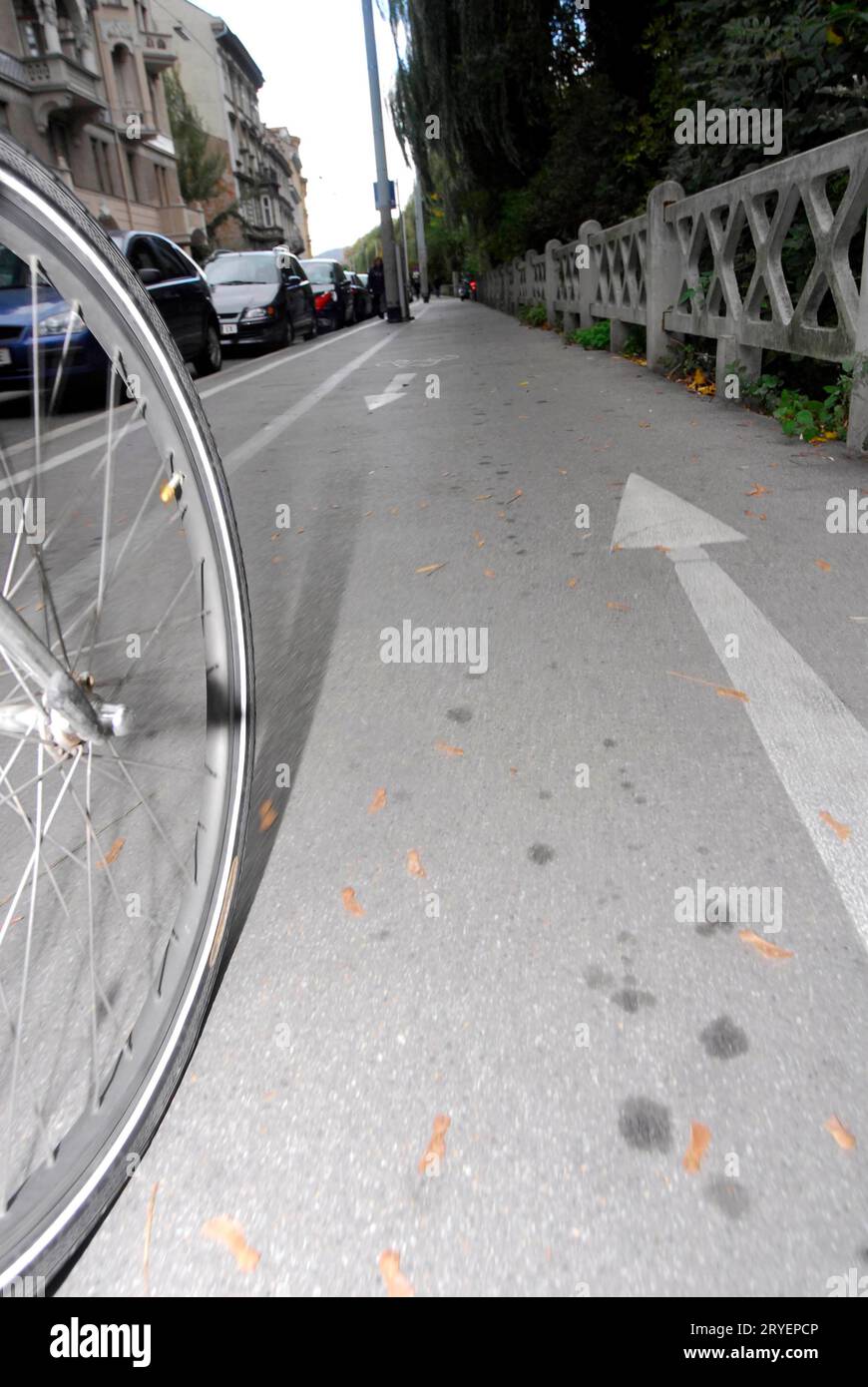 Cycling in the city on cycle path Stock Photo - Alamy