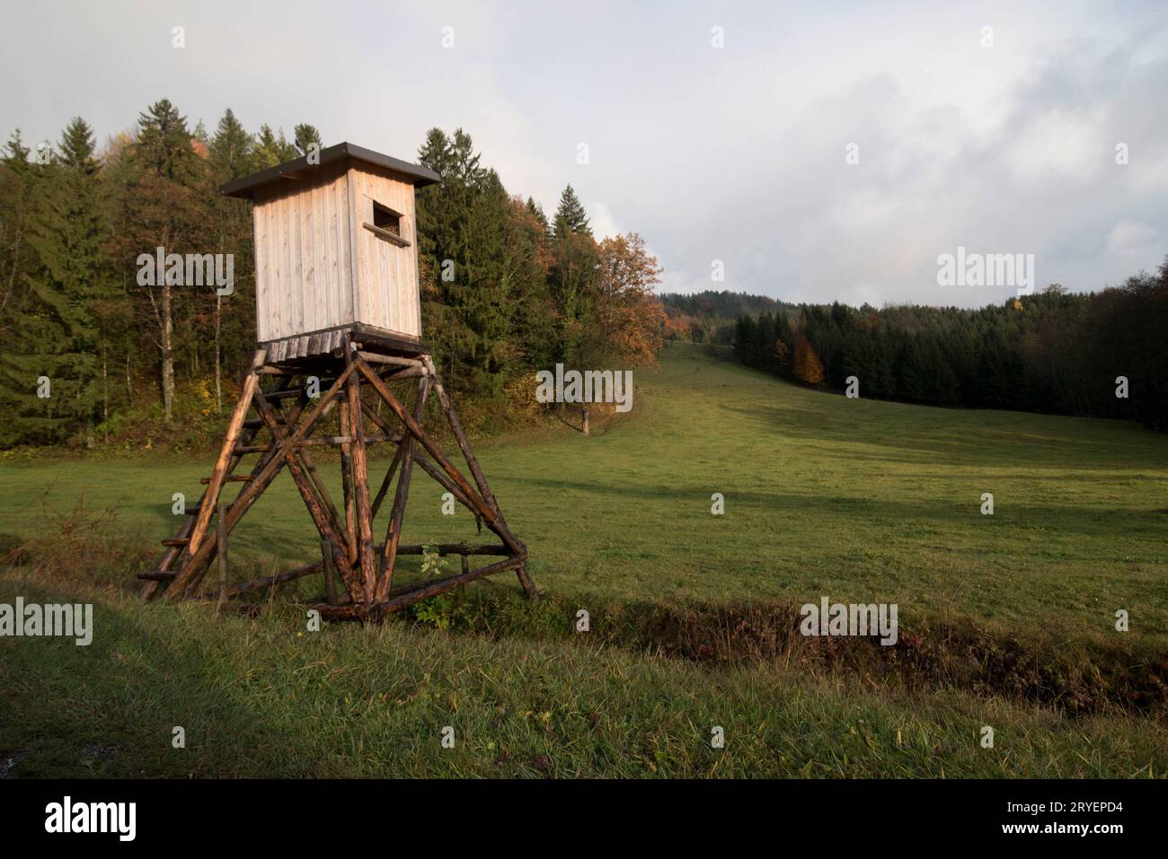 Wooden raised hide for forester Stock Photo - Alamy
