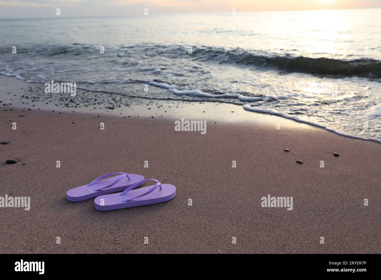 Stylish lilac flip flops on sand near sea. Space for text Stock Photo ...