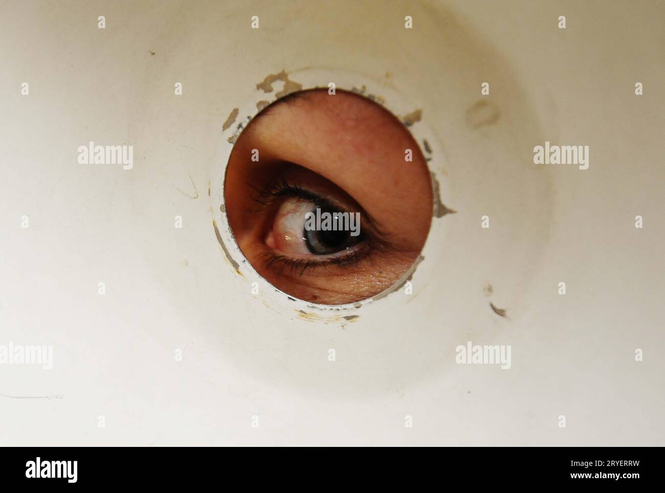 Eye, organ of the visual system Stock Photo - Alamy