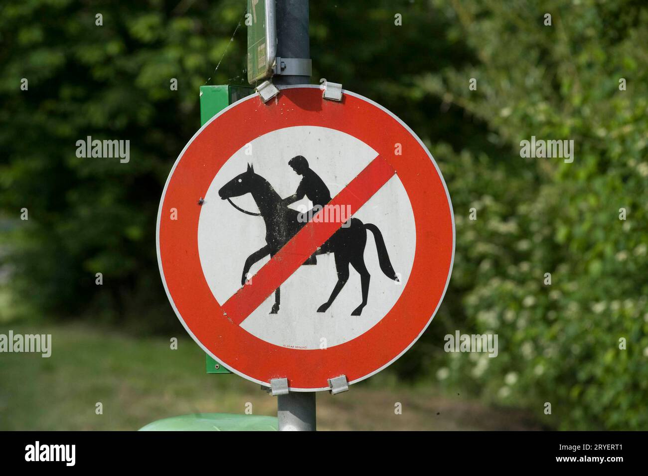 Horse riding ban road sign Stock Photo - Alamy