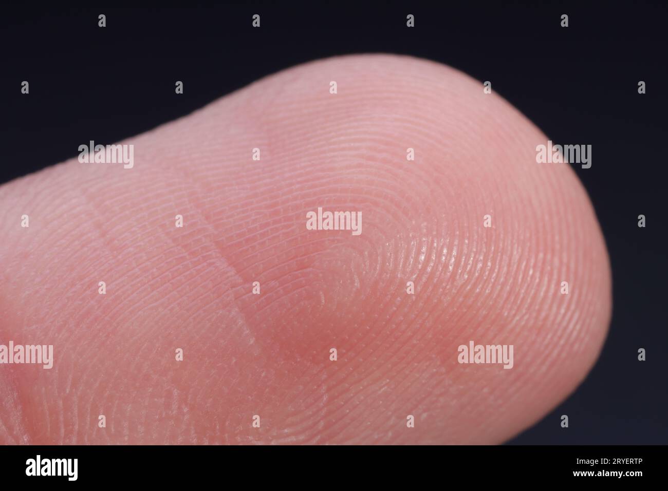 Friction ridges hi-res stock photography and images - Alamy