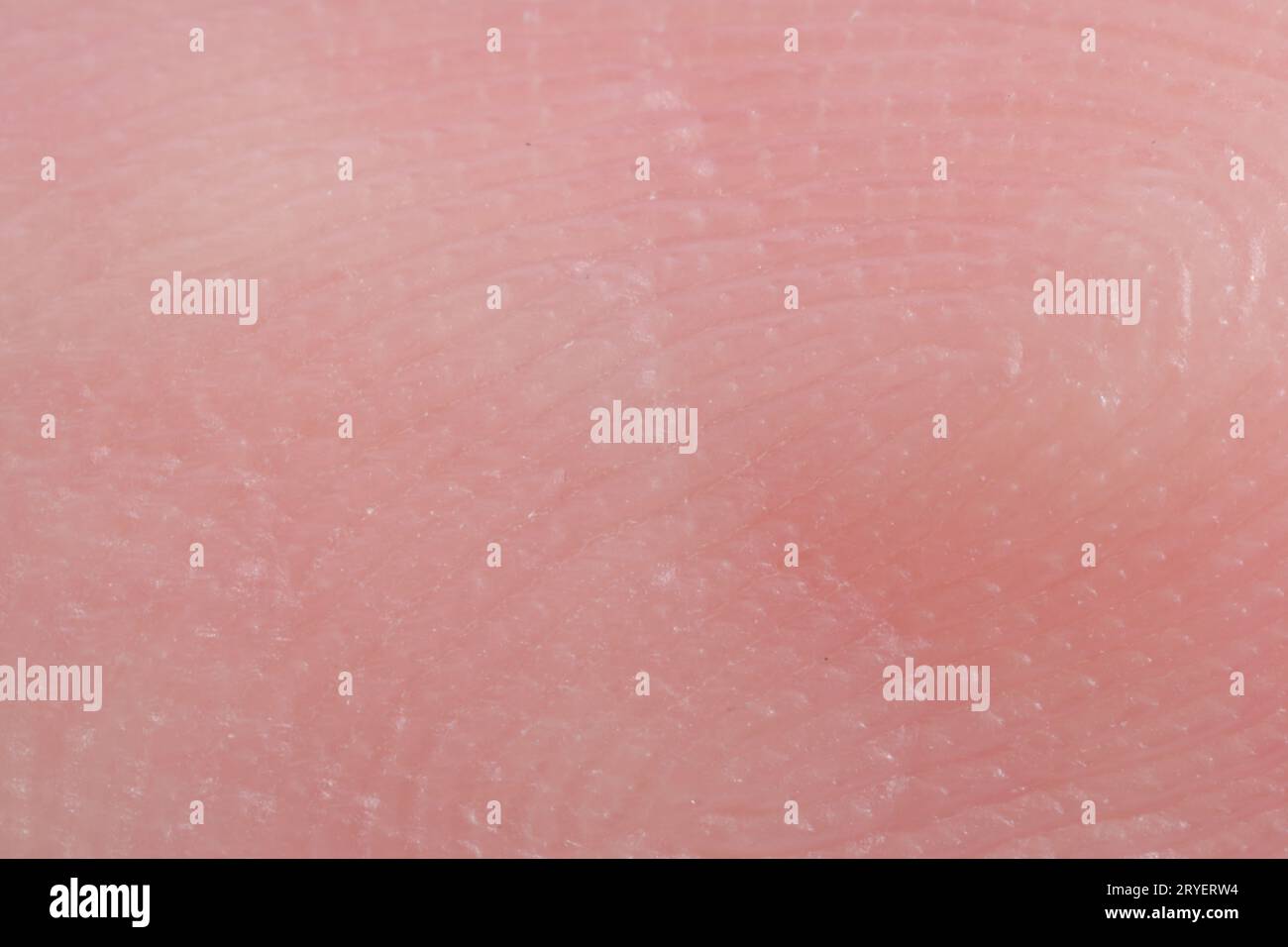 Friction ridges hi-res stock photography and images - Alamy