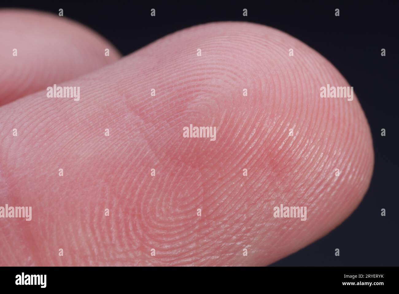Finger with friction ridges on dark background, macro view Stock Photo ...