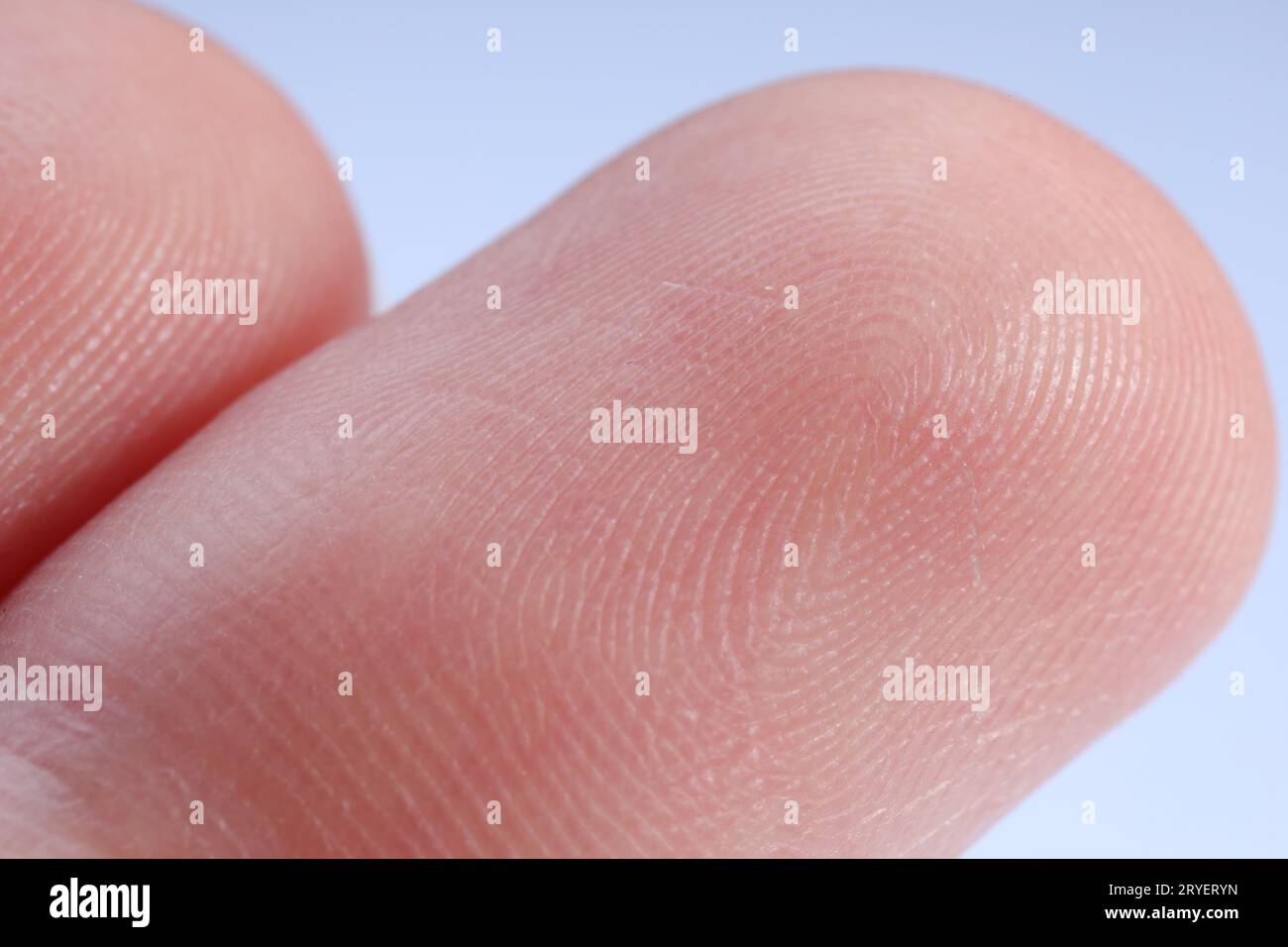 Finger with friction ridges on light blue background, macro view Stock ...