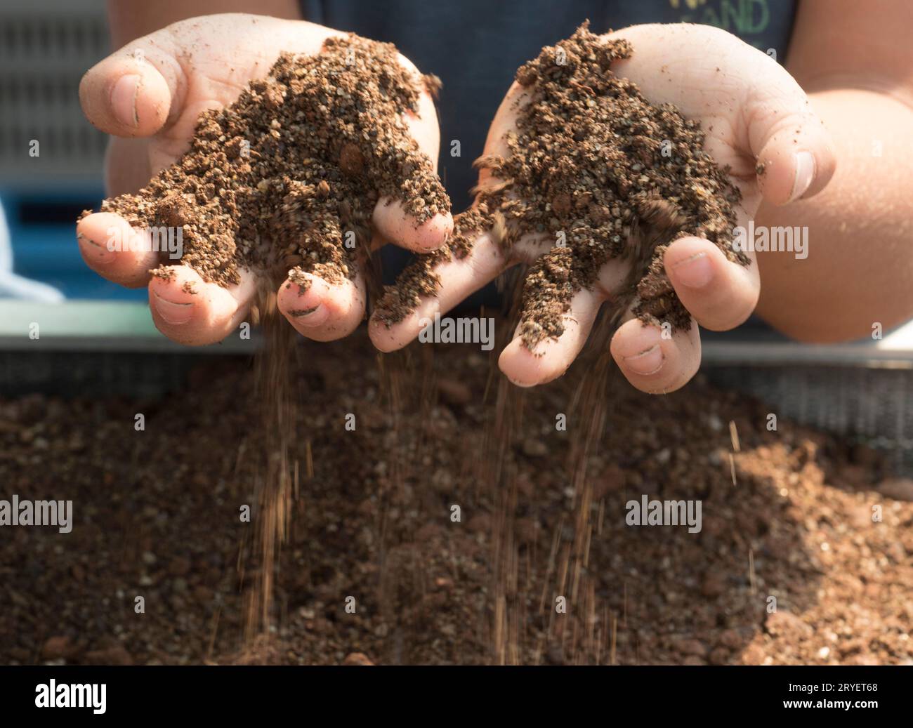 Humus formation hi-res stock photography and images - Alamy
