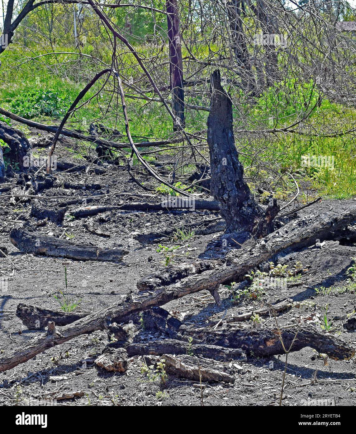 Fire damage hi-res stock photography and images - Alamy