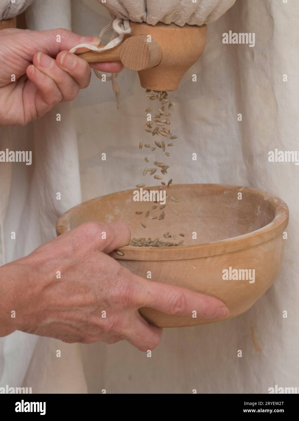 Wheat grain in agricultural production Stock Photo - Alamy