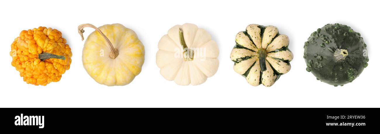 Set of different pumpkins isolated on white, top view Stock Photo - Alamy