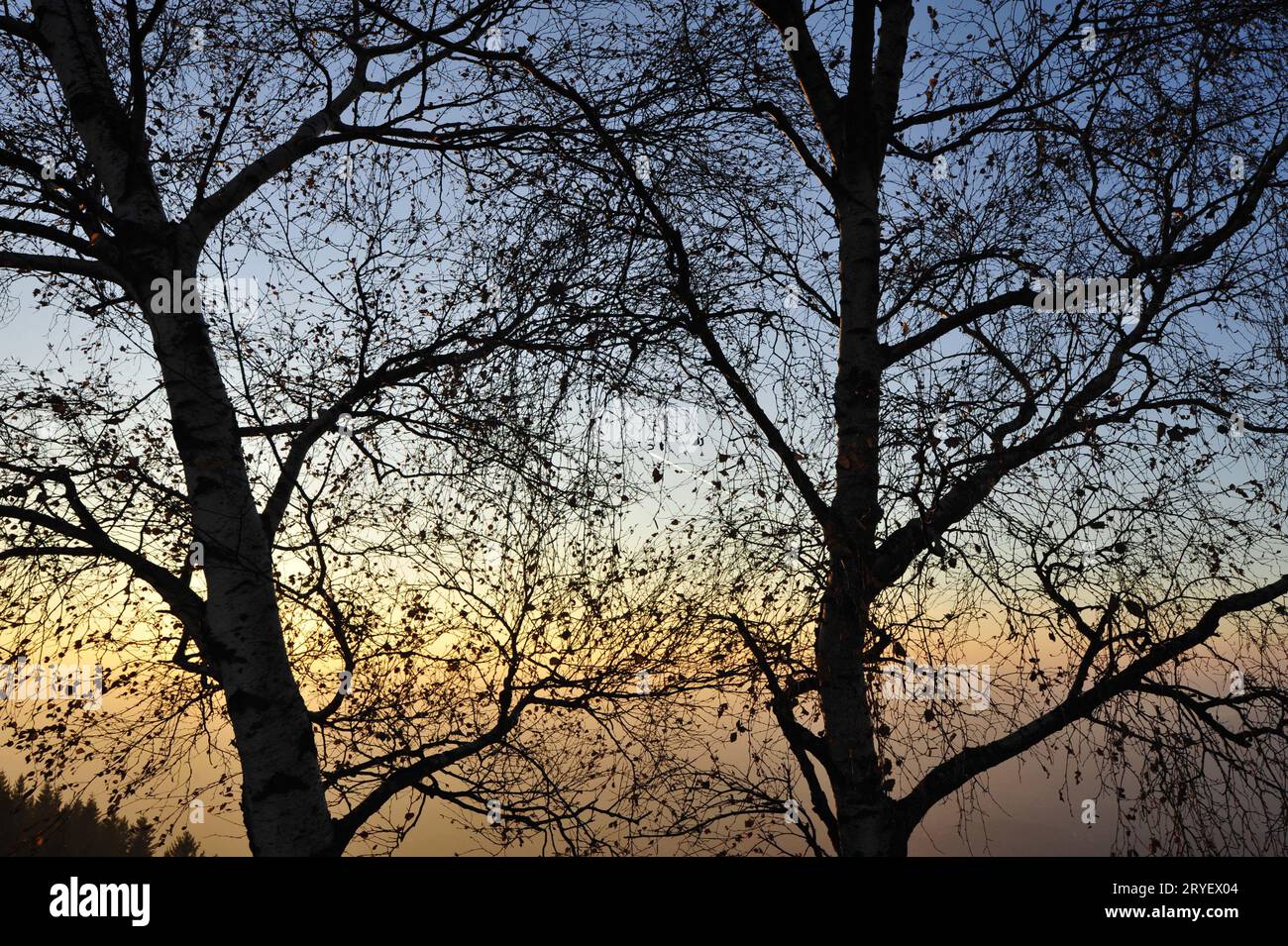 Summer hot weather photos hi-res stock photography and images - Alamy