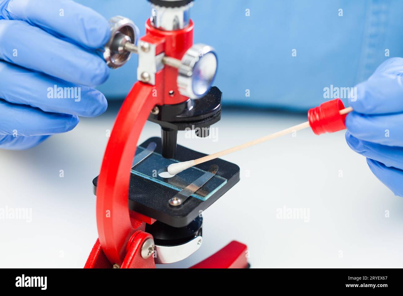 Lab technician or medical scientist inspecting collected patient swab ...