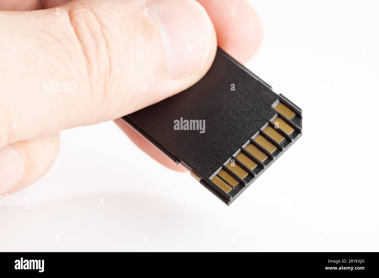 Hand holding a SD memory card on white background. Copy space Stock ...