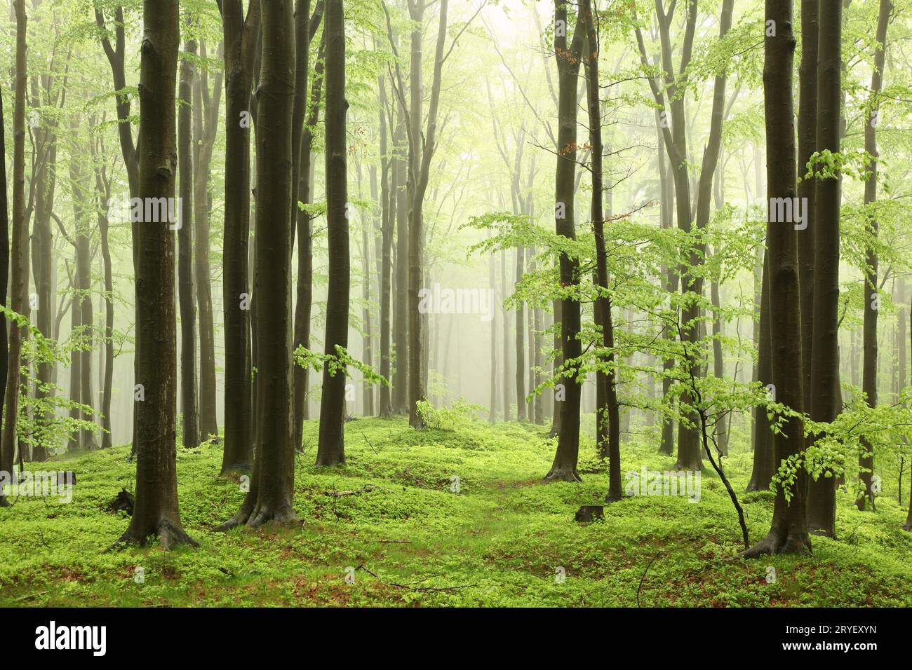 Spring adventure hi-res stock photography and images - Alamy