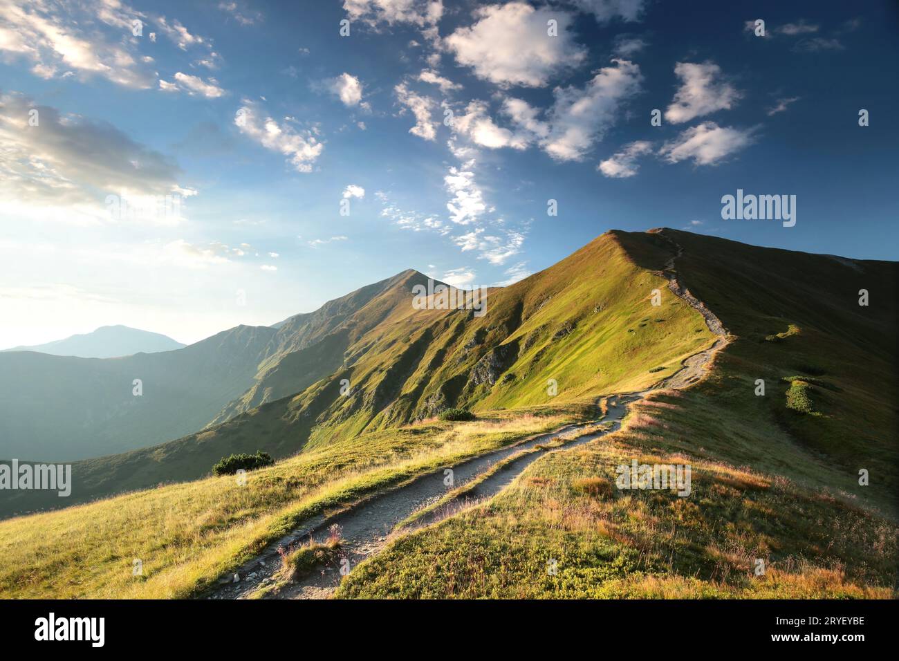 Tatra nature hi-res stock photography and images - Alamy