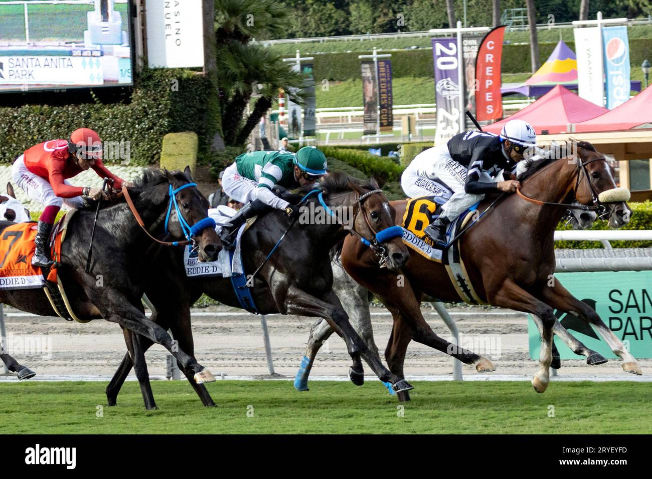 October 1, 2023, Arcadia, California, USA: Lane Way (6) ridden by Mike ...