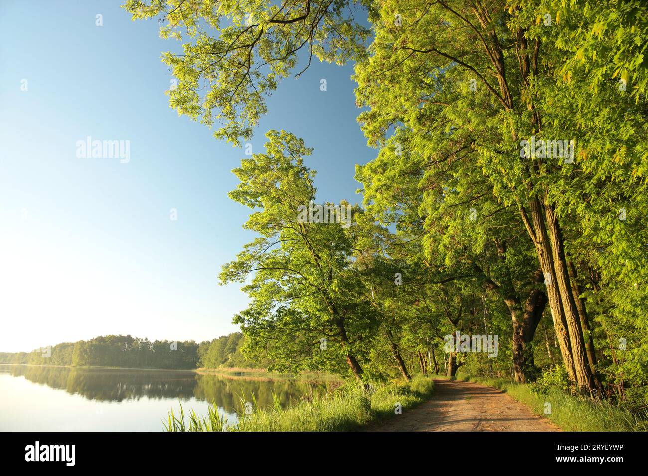 Lush spring colors hi-res stock photography and images - Alamy
