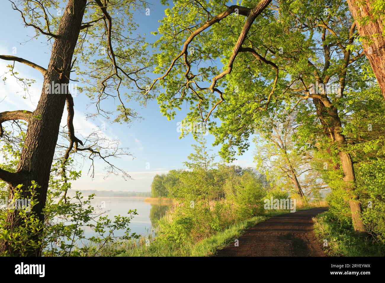 Lush spring trail hi-res stock photography and images - Alamy