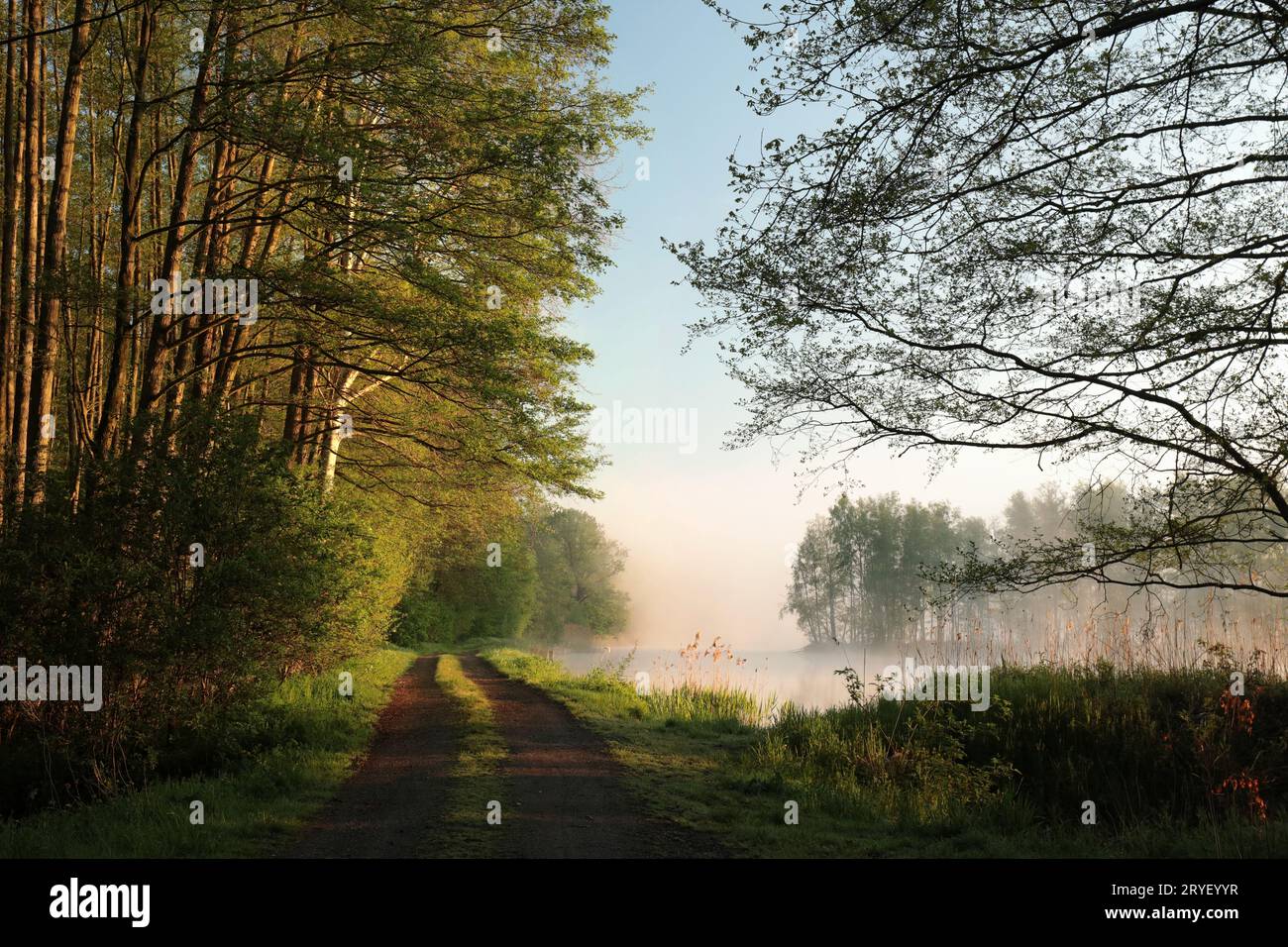 Dawn landscape rural road hi-res stock photography and images - Alamy