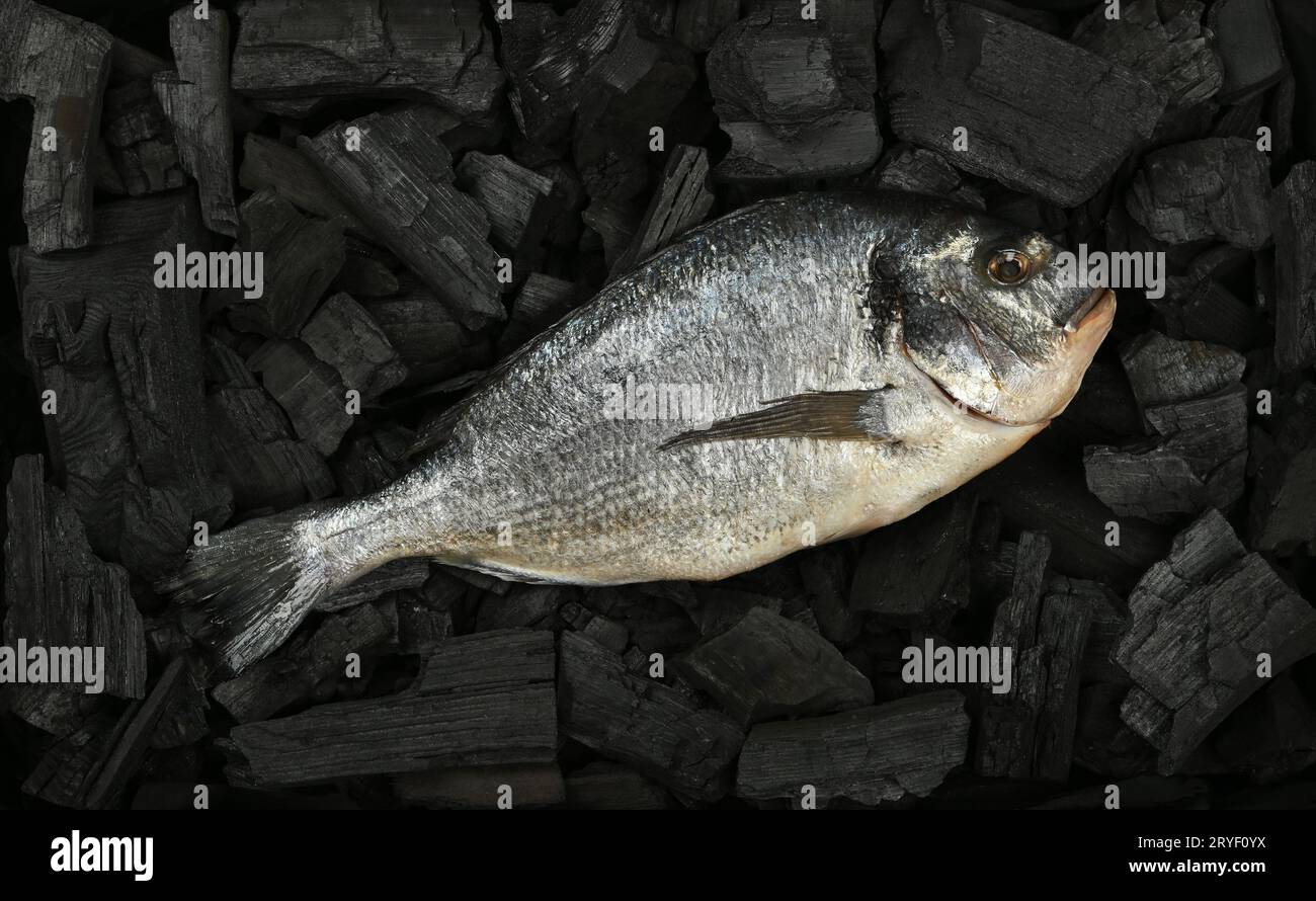 Cooking raw Dorada sea bream fish on charcoal Stock Photo - Alamy
