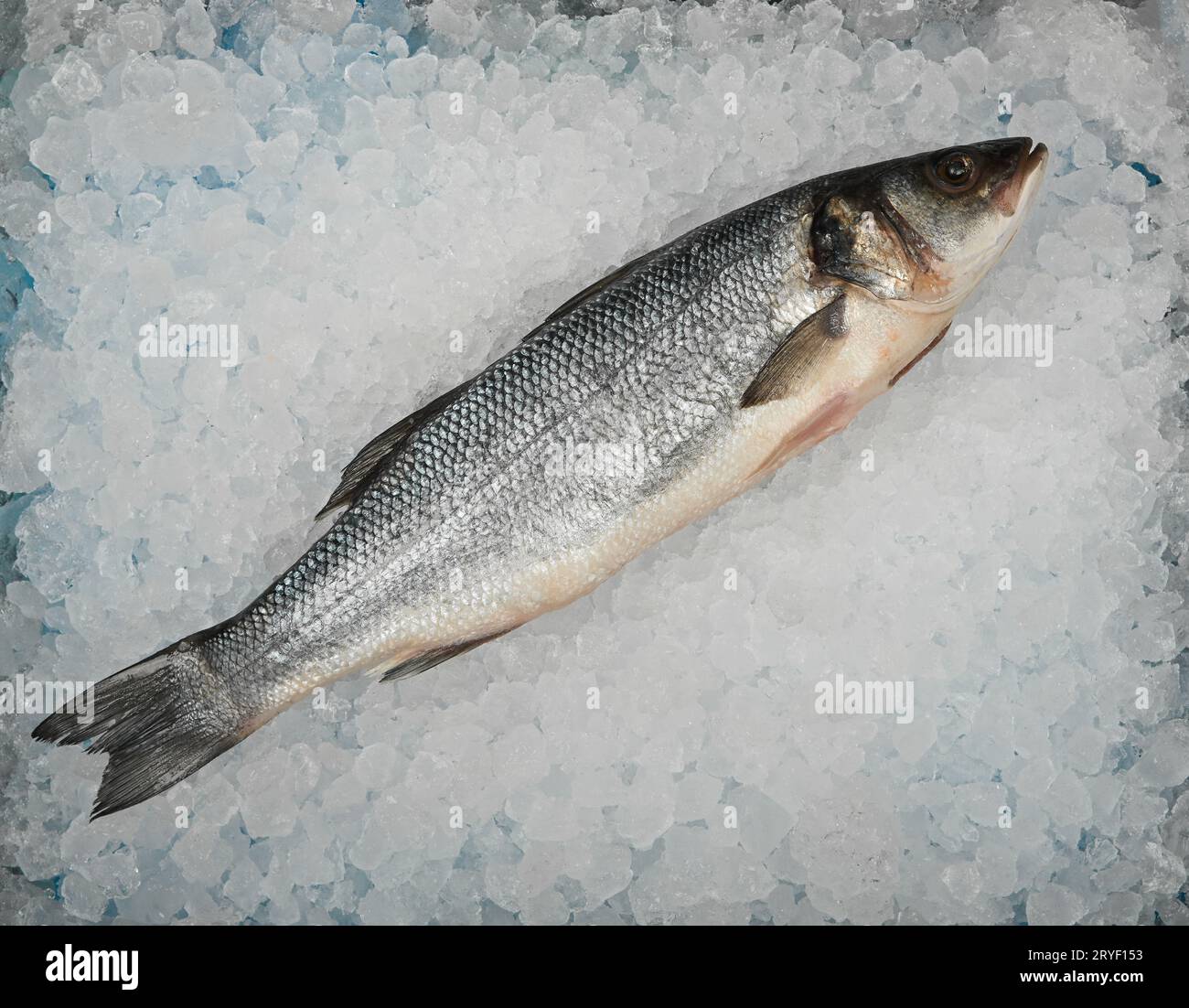 Close up raw sea hi-res stock photography and images - Alamy