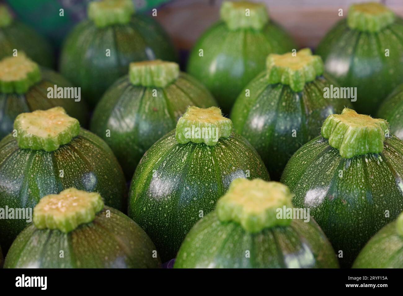 Courgettes zucchini close up hi-res stock photography and images - Alamy
