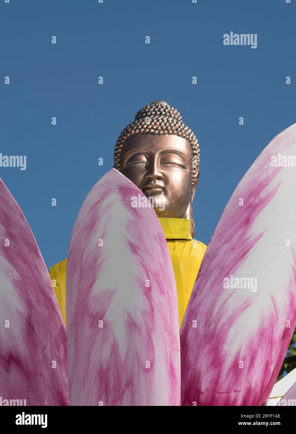 Statue of buddha, founder of buddhism Stock Photo - Alamy