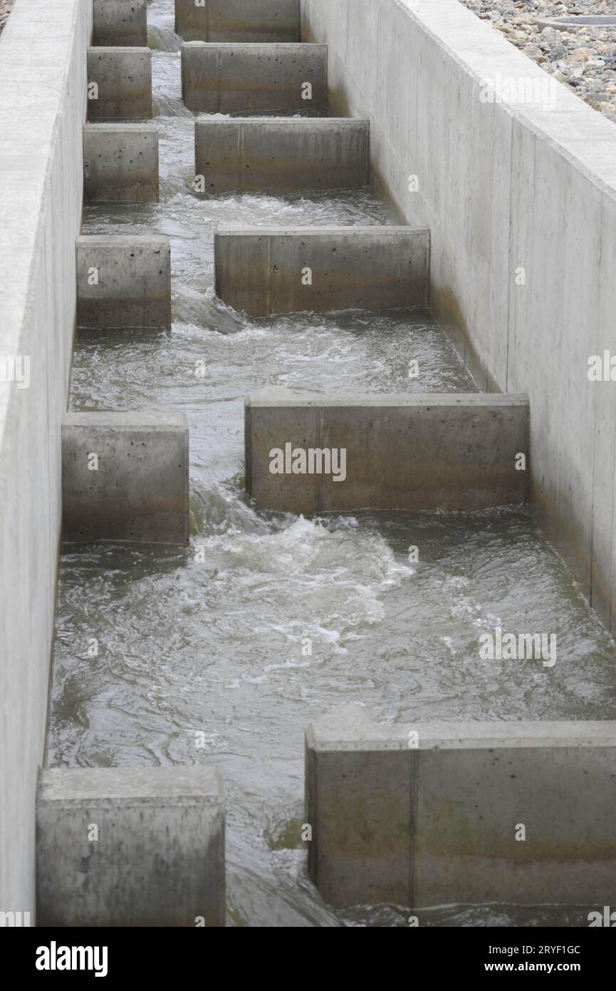 Fish ladder to help fish overcome barriers Stock Photo - Alamy