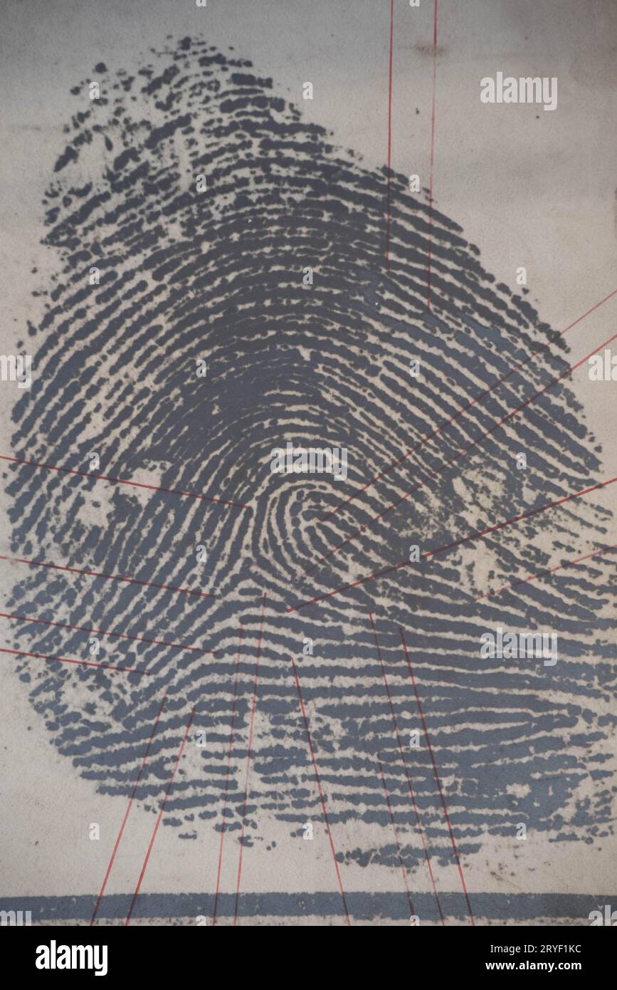 Enlarged and printed out fingerprint in forensics Stock Photo - Alamy