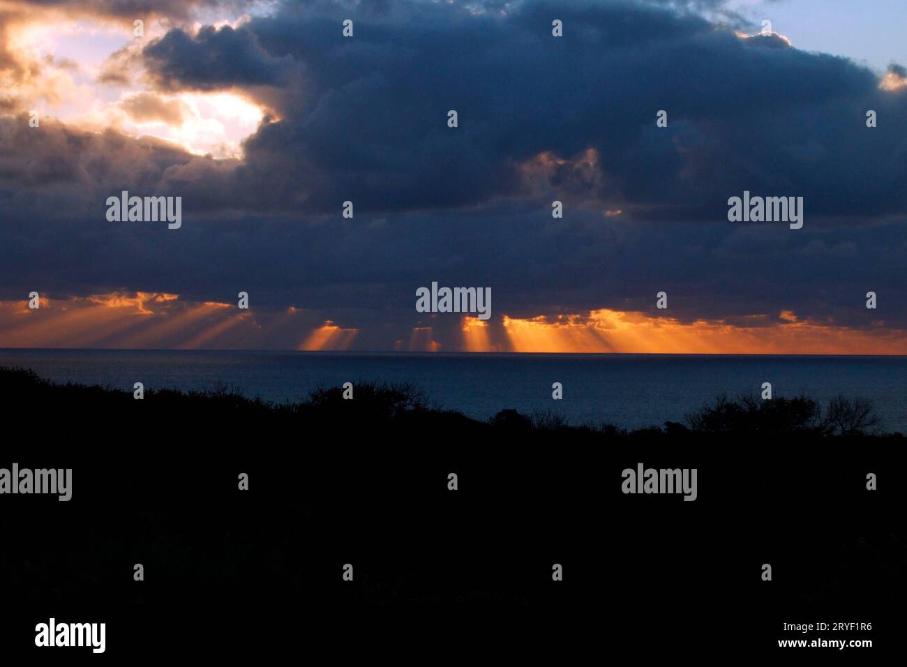 Humid environment hi-res stock photography and images - Alamy