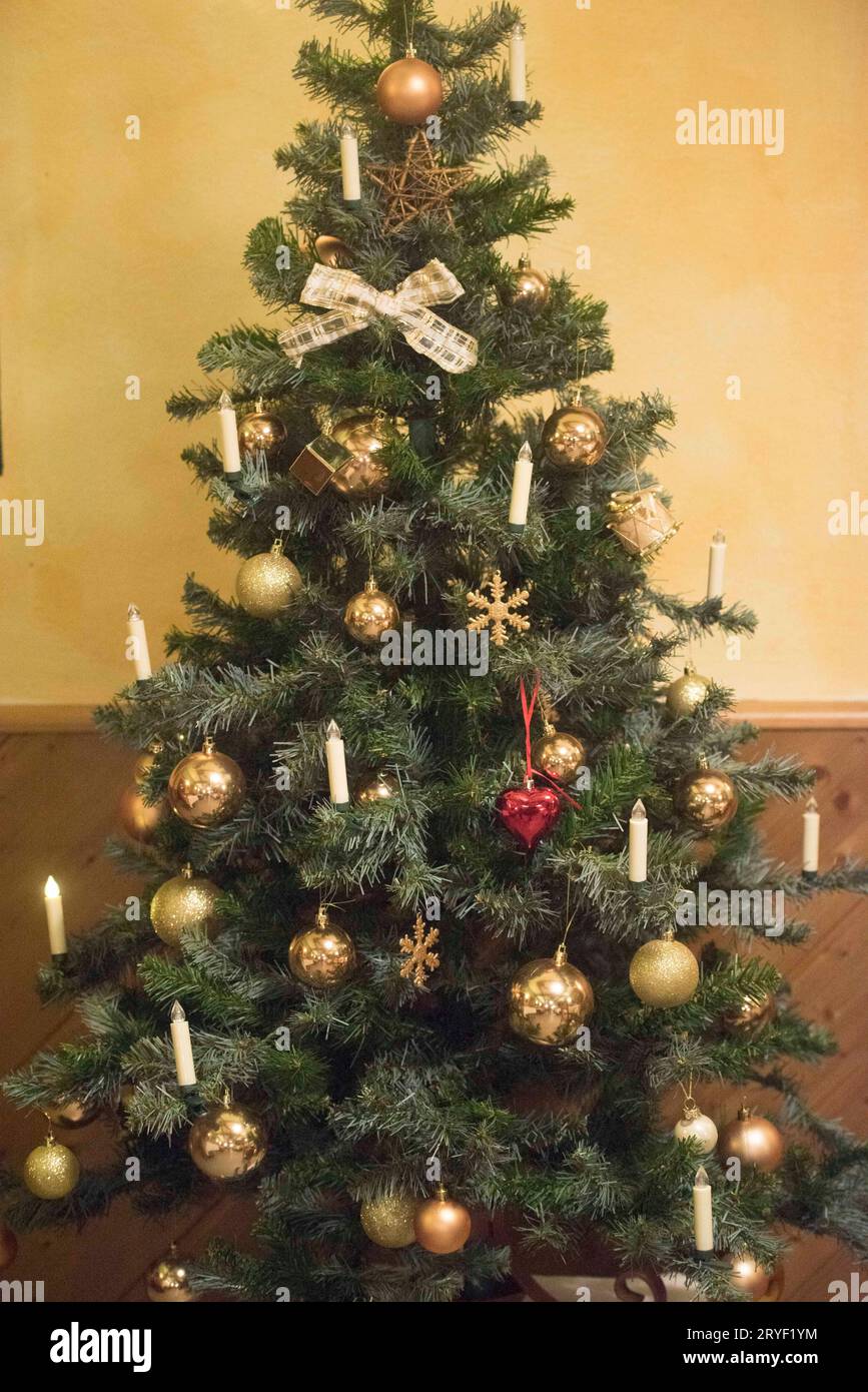 Christmas tree and holiday season Stock Photo - Alamy