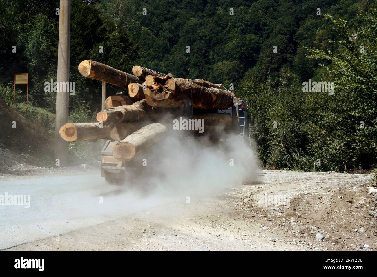 Truck transporting cut tree trunks Stock Photo - Alamy
