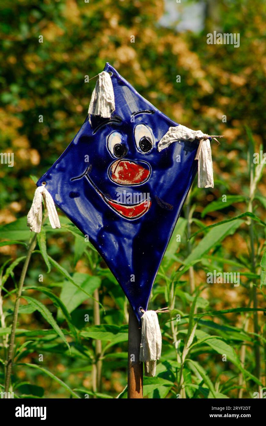 Kite flying on a windy summer day Stock Photo - Alamy