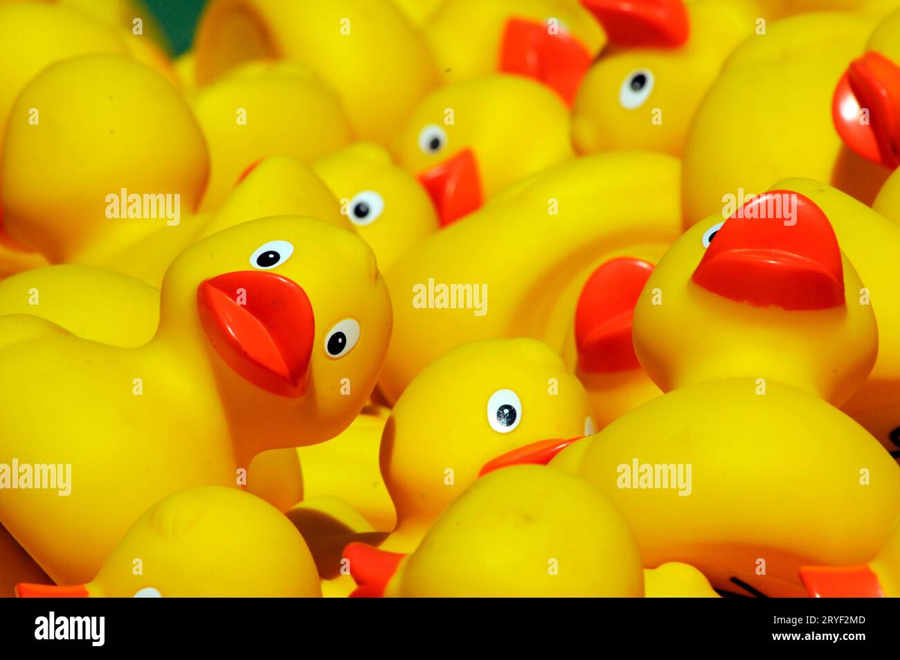 Yellow plastic ducks with red beaks Stock Photo - Alamy