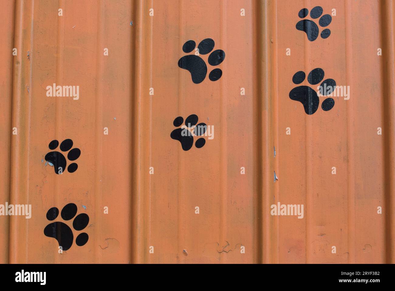 Dog paw print as symbol for dogs Stock Photo - Alamy