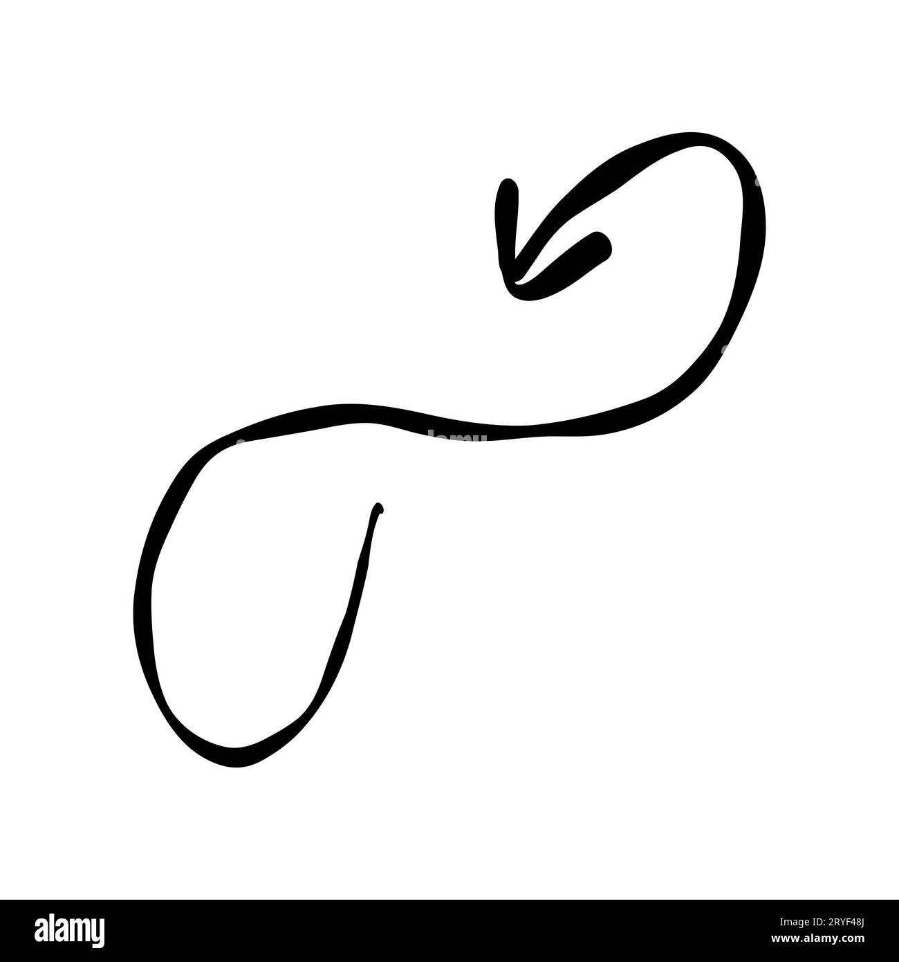 arrow closed loop endlessly doodle line icon Stock Vector Image & Art ...