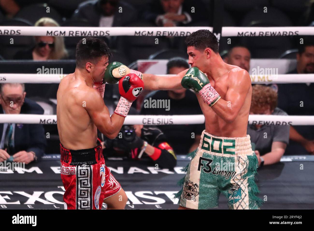 Pbc boxing hi-res stock photography and images - Alamy