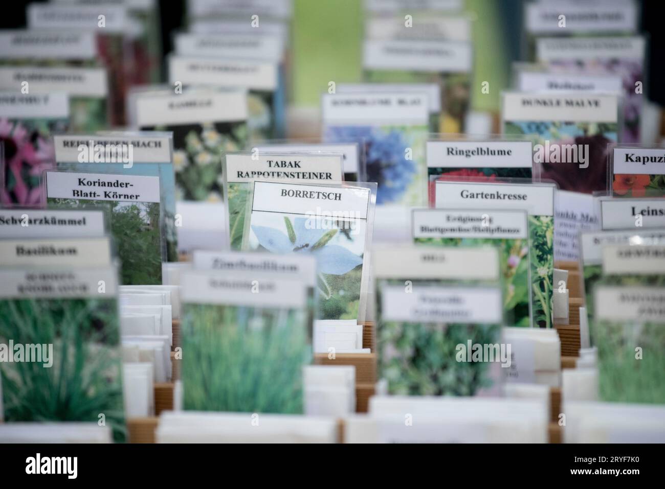 Biodiversity or species diversity in plants Stock Photo - Alamy