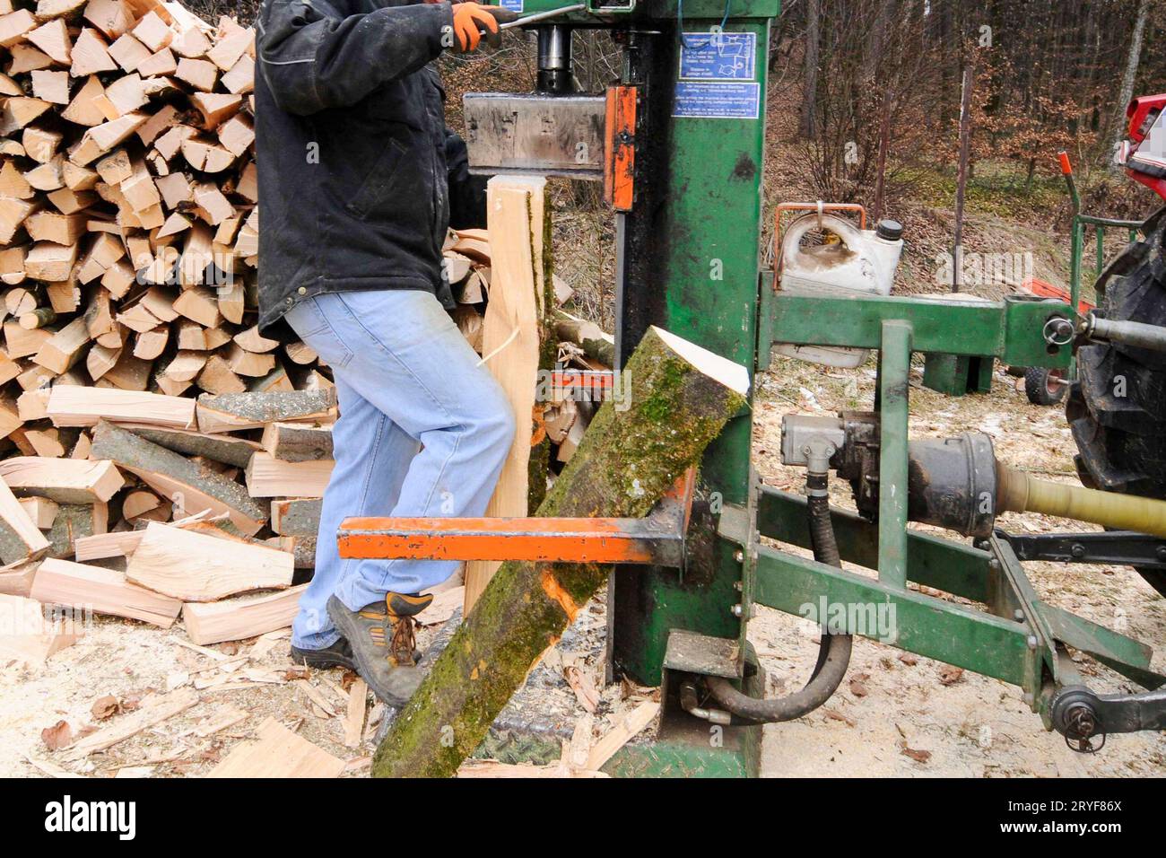 Wood splitting in the forest Stock Photo - Alamy