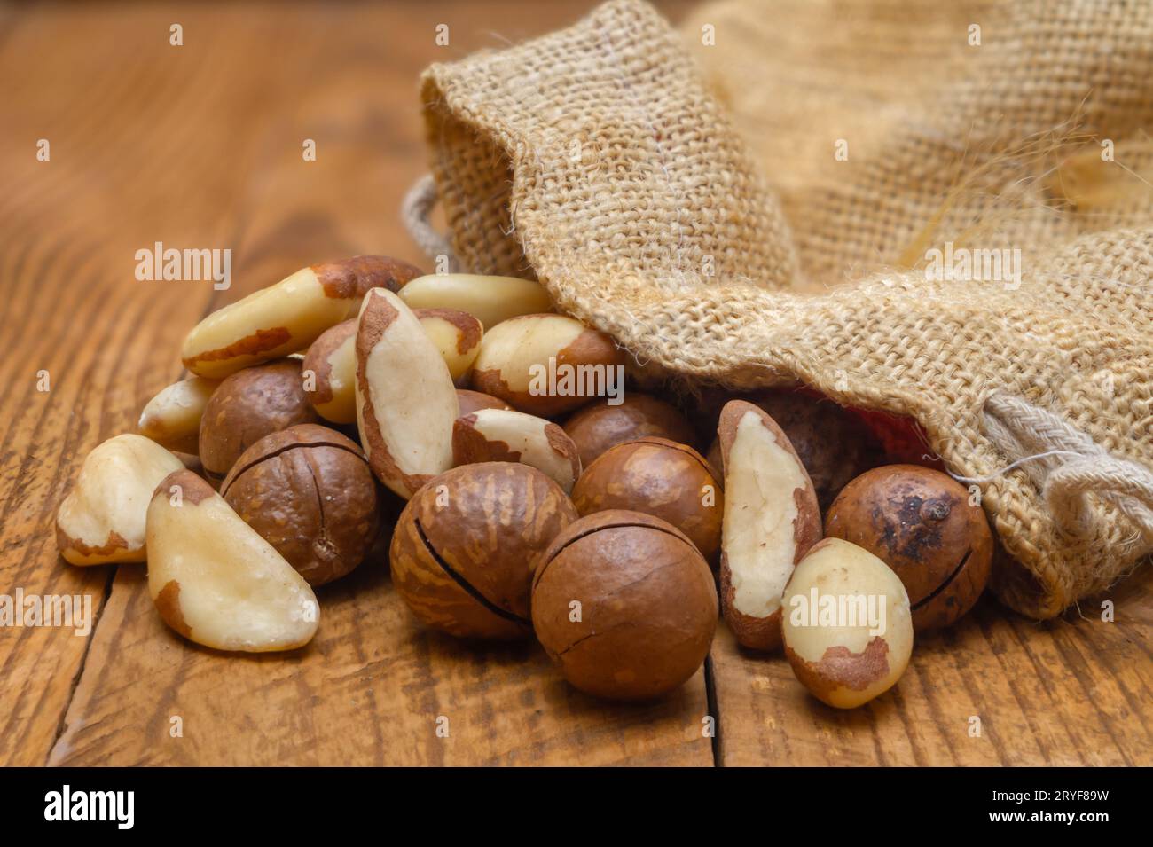 Brazil nut and macadamia Stock Photo - Alamy