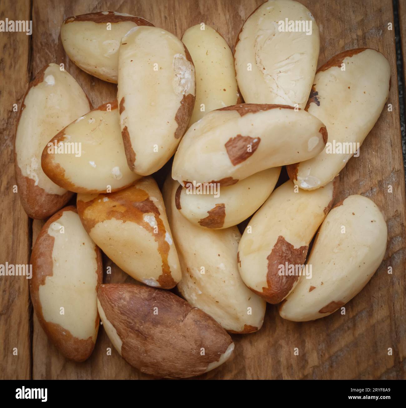 Brazil nut harvest hi-res stock photography and images - Alamy