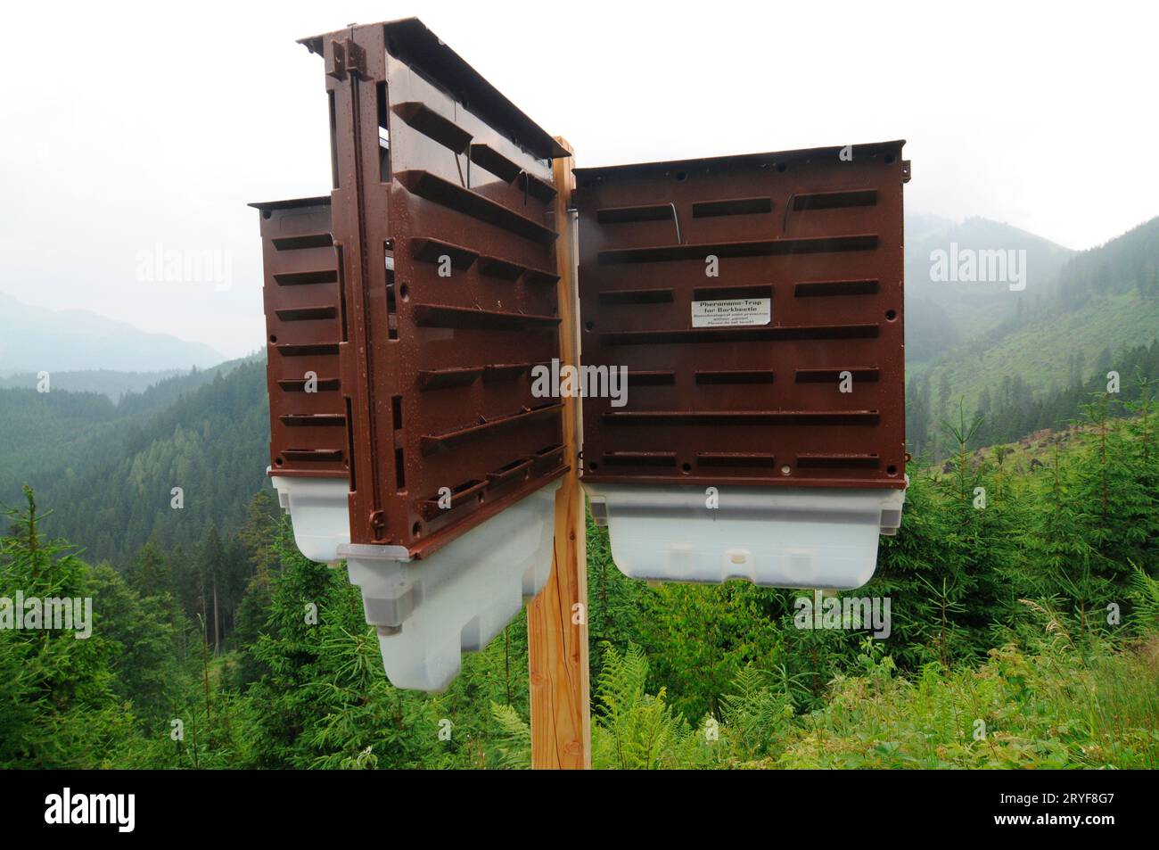 Pheromone trap hi-res stock photography and images - Alamy