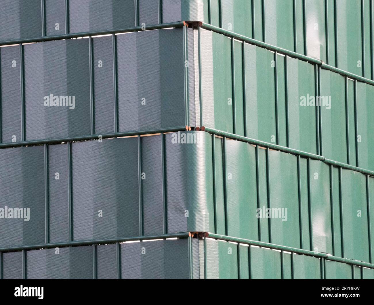 The color green, a common color in nature Stock Photo - Alamy