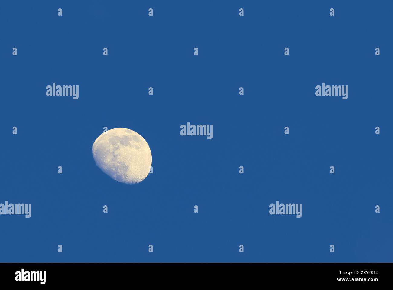 Close up full moon in hi-res stock photography and images - Alamy