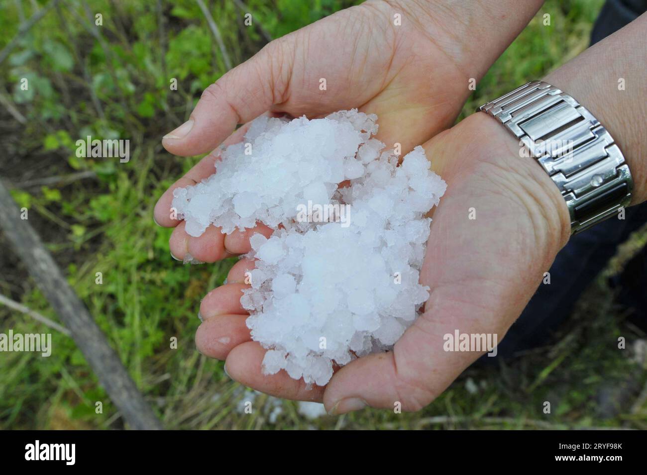 Big hailstones after a hailstorm Stock Photo - Alamy