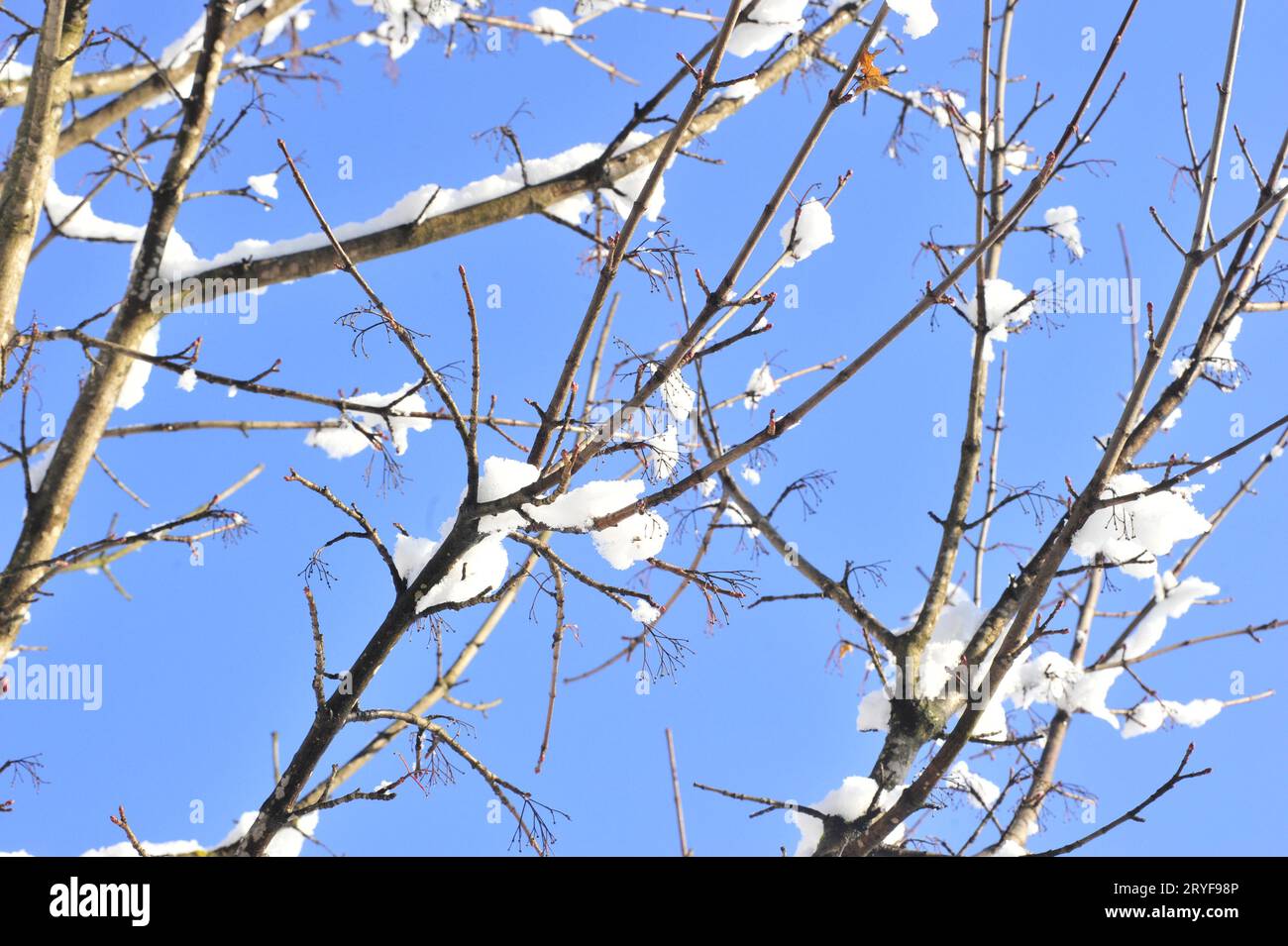 Snow melt and the end of winter Stock Photo - Alamy