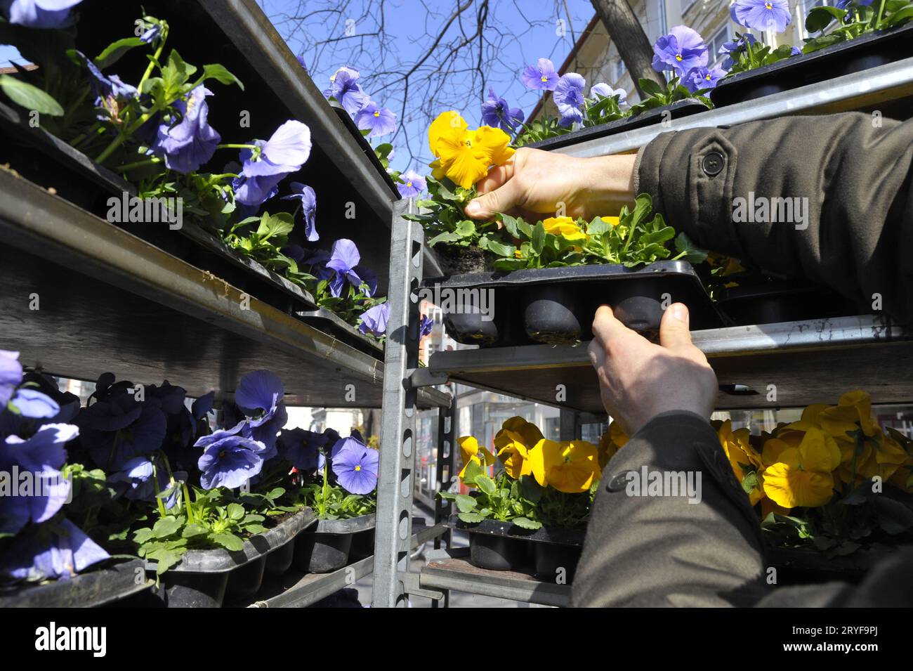 Spring time activity hi-res stock photography and images - Alamy