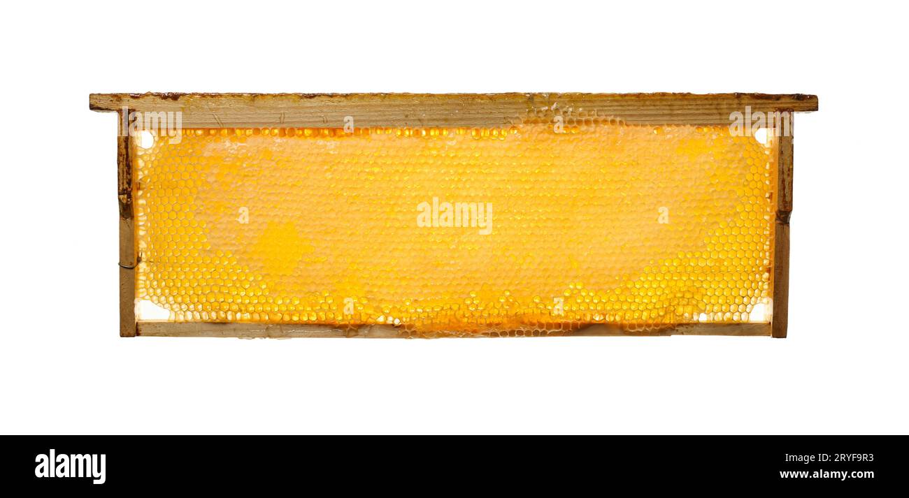 Honey comb structure Cut Out Stock Images & Pictures - Alamy