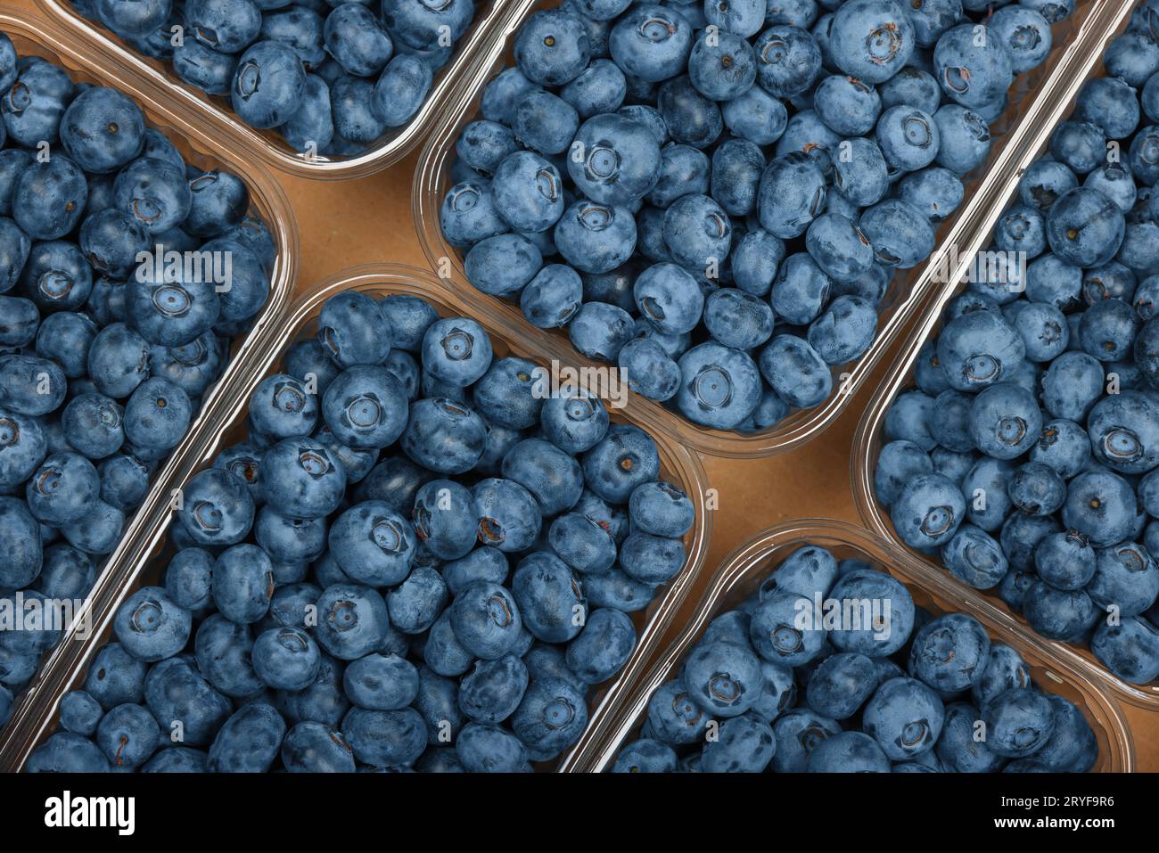 Blueberry in container hi-res stock photography and images - Alamy
